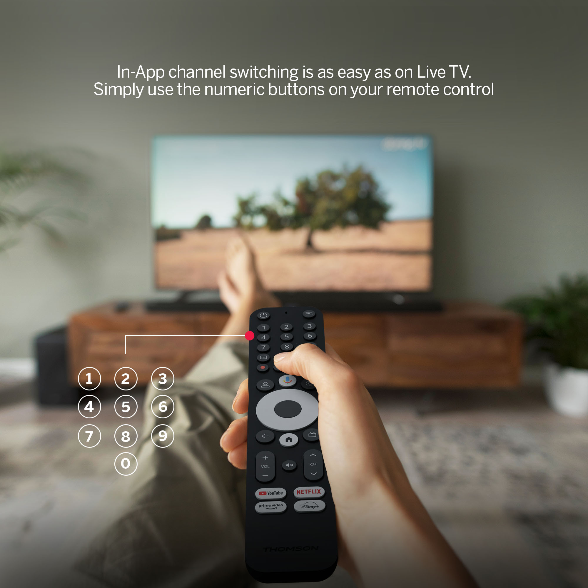 Thomson Streaming Box 240G | 240G